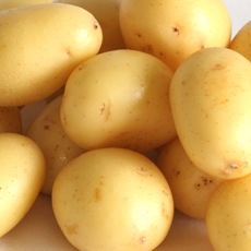 Paradise Fresh Narrabri