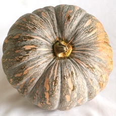 Paradise Fresh Narrabri