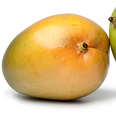 Paradise Fresh Narrabri